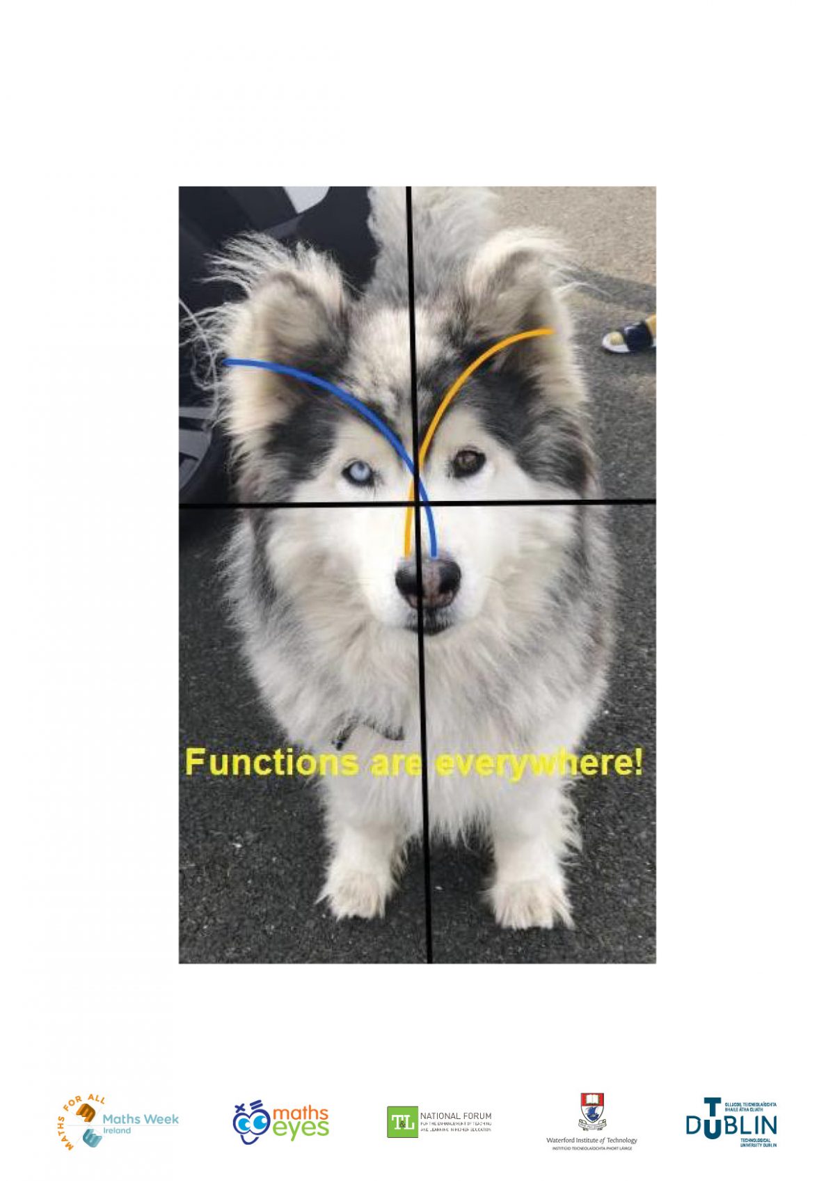 Maths Eyes 2019 Under 19 Shortlisted – MATHS WEEK IRELAND