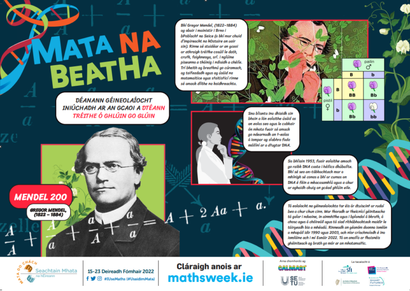 Posters 2022 – MATHS WEEK IRELAND