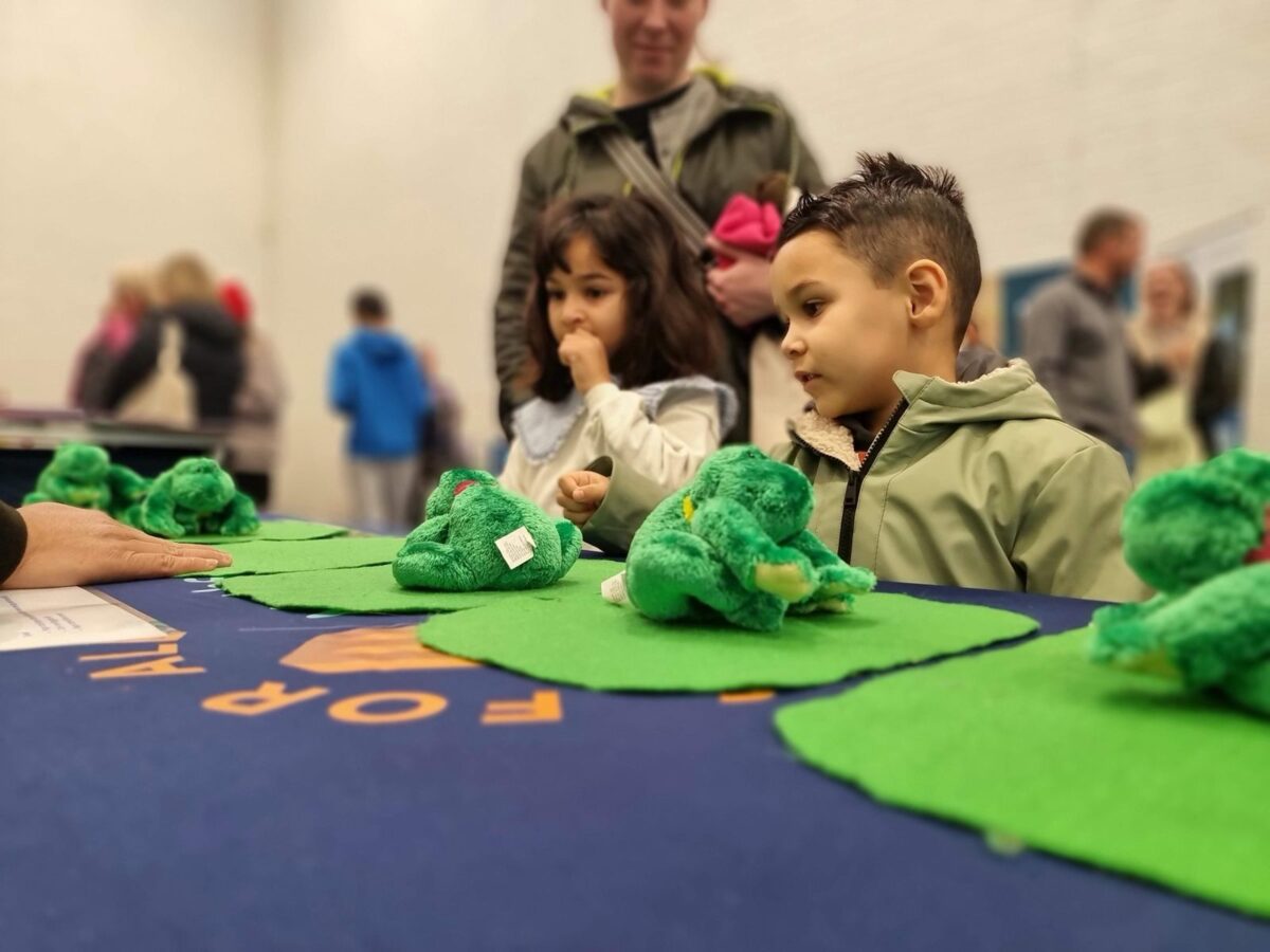 Munster Maths and Science Fair - 2024 – MATHS WEEK IRELAND